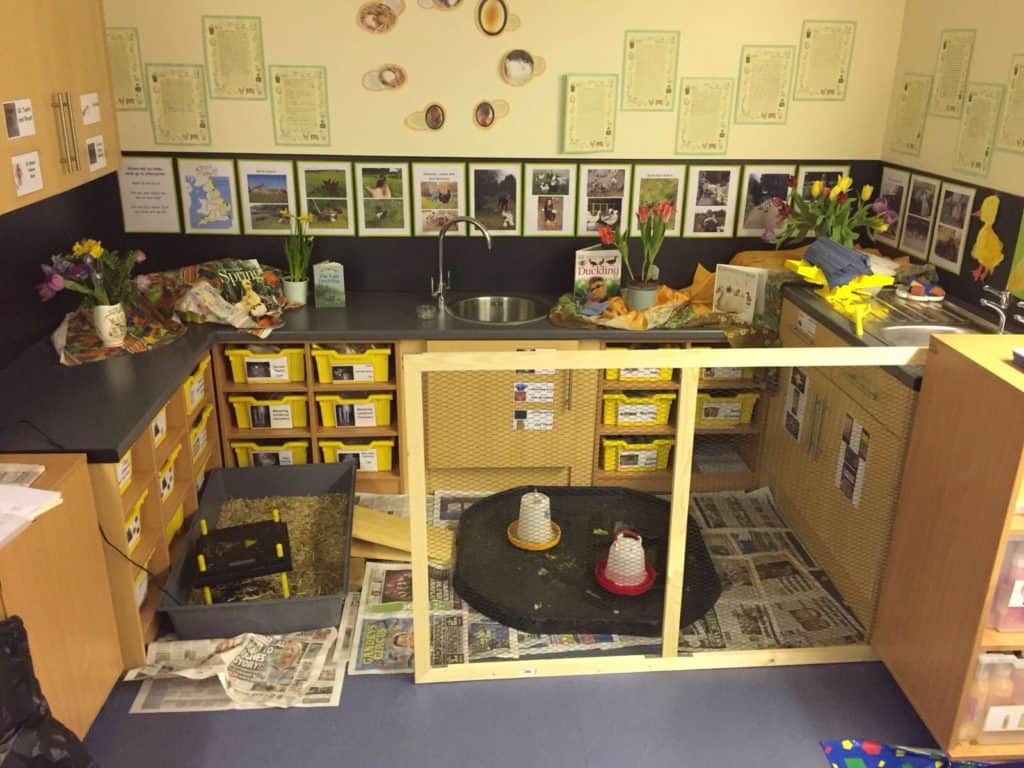 School & Nursery Gallery - Incredible Eggs