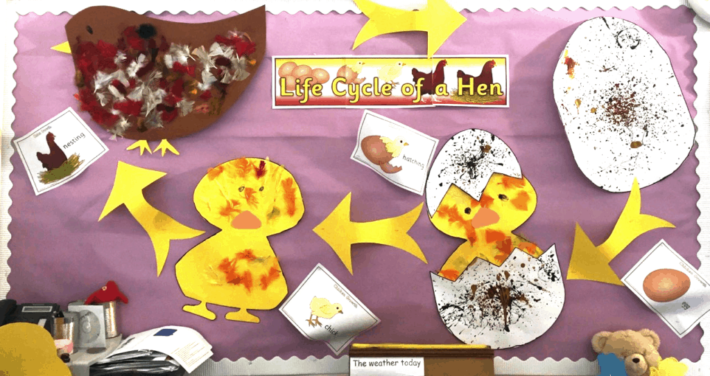 School & Nursery Gallery - Incredible Eggs