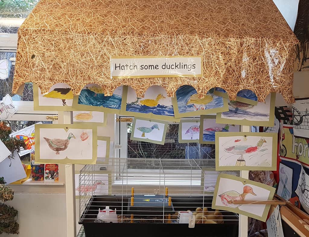 Ambergate gets arty! - Incredible Eggs