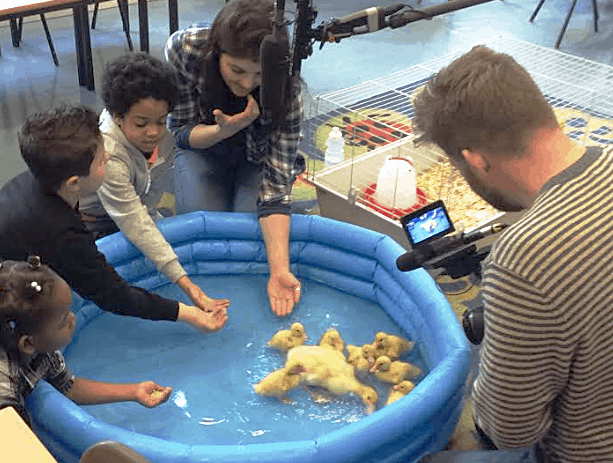 Summer 2017 - Incredible Eggs with CBeebies, 'Down on the Farm ...