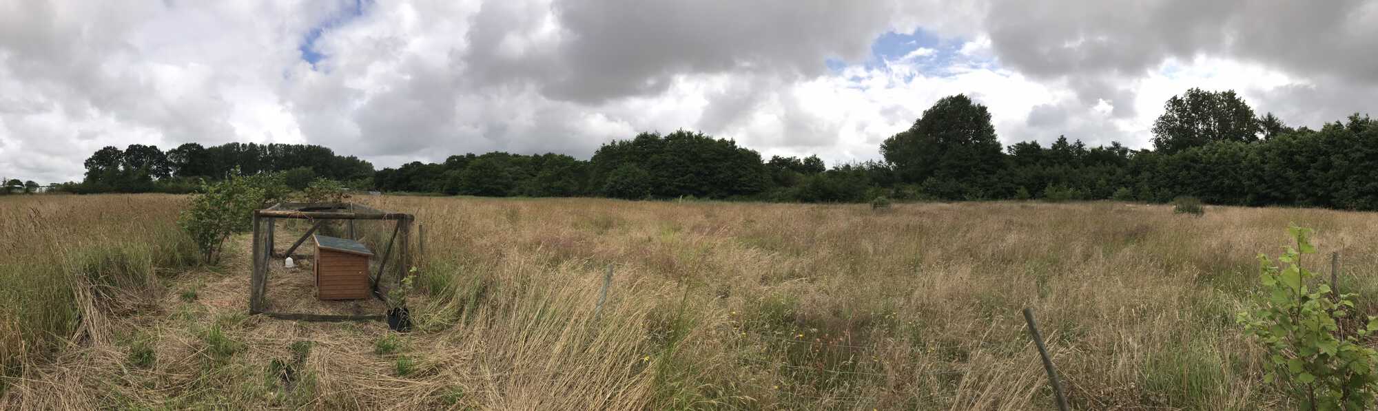 July 2019 - Wildlife Conservation: Our Grey Partridge release pen is ...
