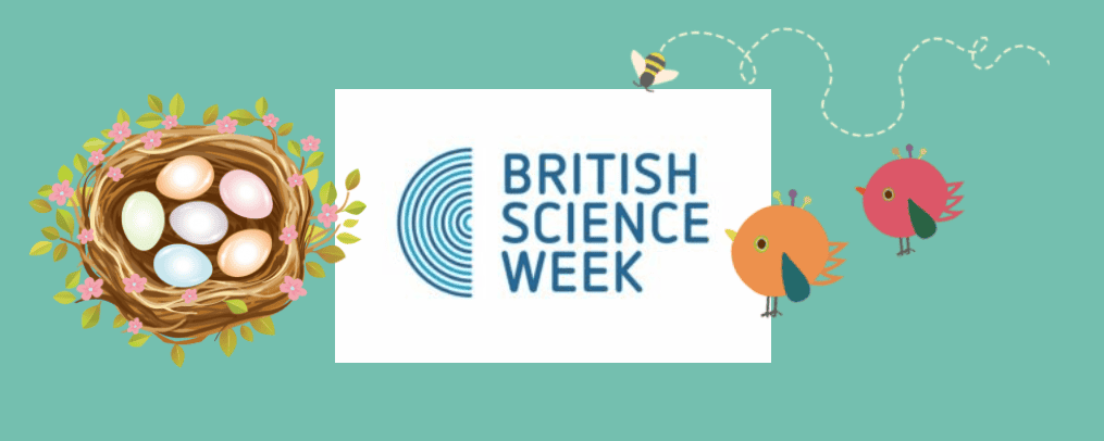 February 2025 - New educational resources for British Science Week 2025 ...